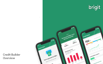 Brigit - Products, Competitors, Financials, Employees, Headquarters ...