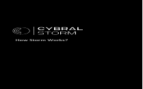 CYBRAL - Products, Competitors, Financials, Employees, Headquarters ...